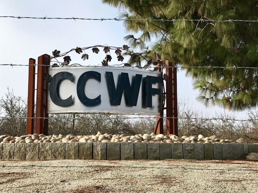 Sen Wiener Dismisses Concerns about Men in Women's Prisons | WDI USA