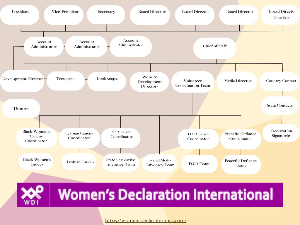 Organizational Structure | WDI USA